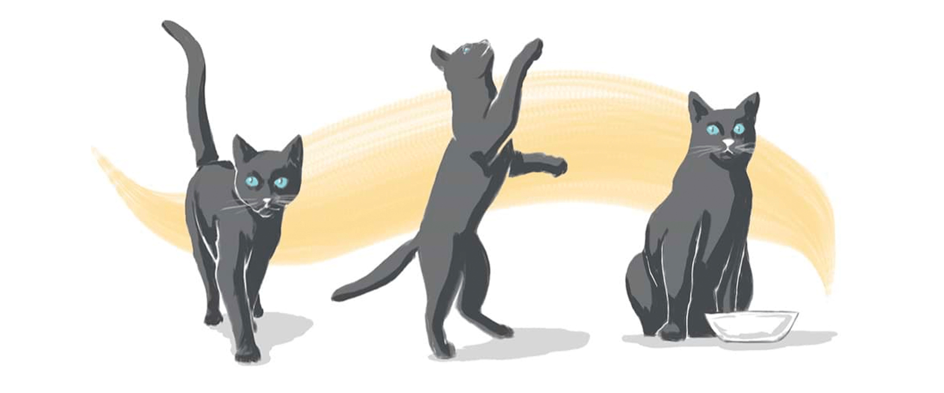 How to Read a Cat’s Body Language | DINE® AU