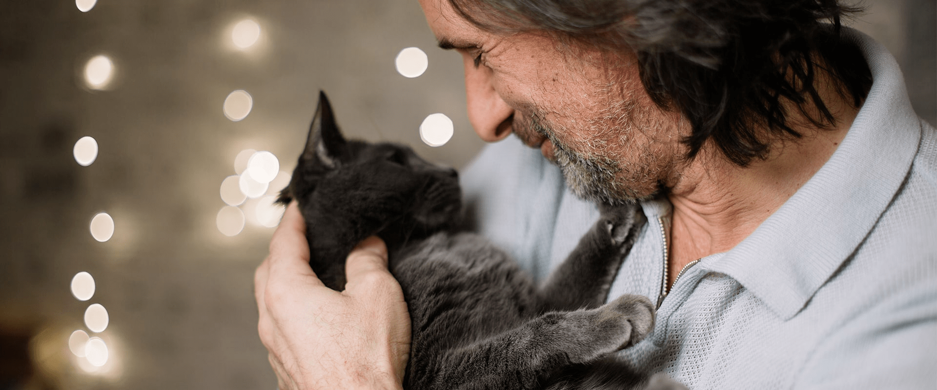12 WAYS TO CELEBRATE YOUR CAT’S BIRTHDAY OR GOTCHA DAY | DINE® AU